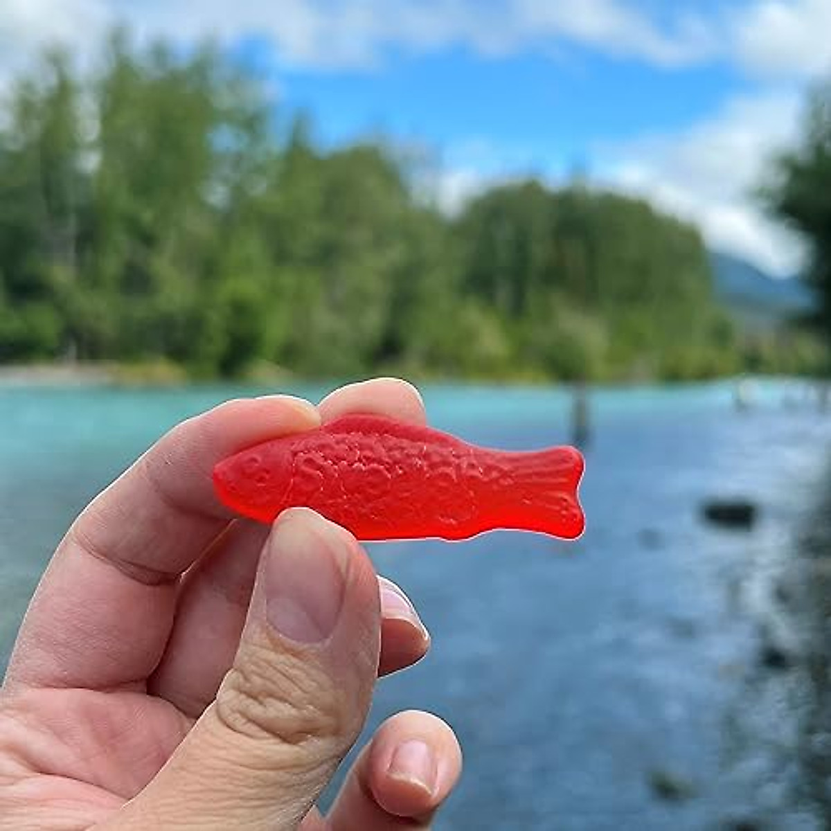 SWEDISH FISH Soft & Chewy Candy, 12 - 3.1 Oz Boxes