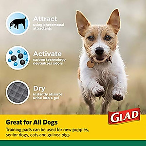 Glad for Pets Activated Carbon Dog Training Pads - Super Absorbent and Leak Proof Dog Pee Pads Extra Large, Indoor Potty Pads with Adhesive Strips, XL Puppy Pad Giant Size, 30" x 36", 24 Count