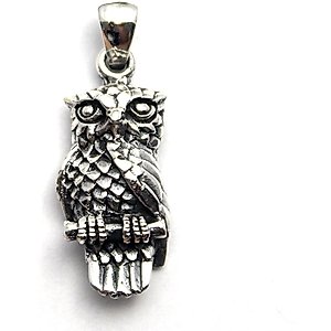 COSUMOSU Owl 925 sterling silver Animal Mexican Pendant (Small Large) (Large)