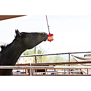 Horsemen's Pride Stall Snack Treat Holder & Refill for Horses; Apple Flavor