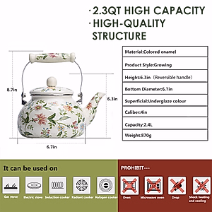 OLYTARU Enamel Teapot floral,Large Porcelain Enameled Teakettle,Colorful Water Tea Kettle pot for Stovetop,Small Retro Classic Design (style01 Growing)