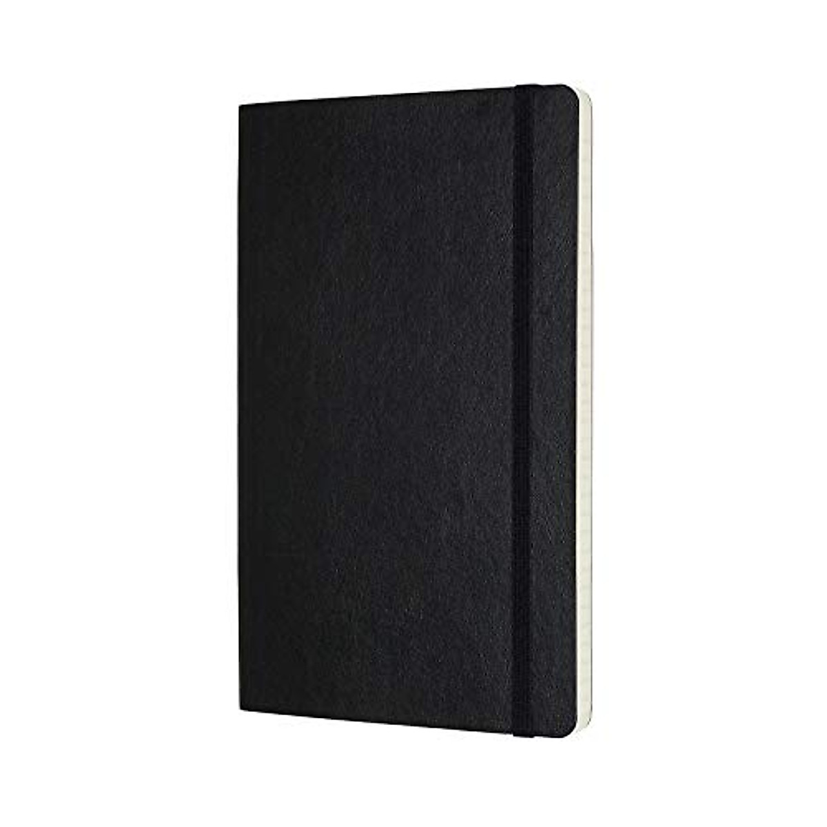 Moleskine PRO Notebook, Soft Cover, Large (5" x 8.25") Professional Project Planning, Black, 192 Pages
