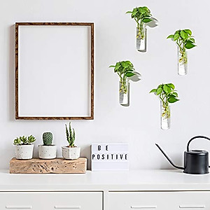 Vumdua Wall Hanging Planters, 4 PCS Glass Planters Hanging Glass Terrarium, Glass Plant Containers Wall Vase Perfect for Propagating Hydroponic Plants Home Garden Wedding Decor