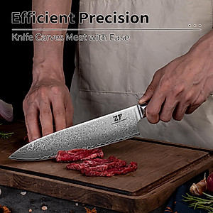 ZF 8 Inch Damascus Kitchen Chef Knife Professional Japanese VG10 Super Steel 67 Layers Santoku Knife Cooking Knife Utility Knife for Meat Vegetable Fruit (YE008)