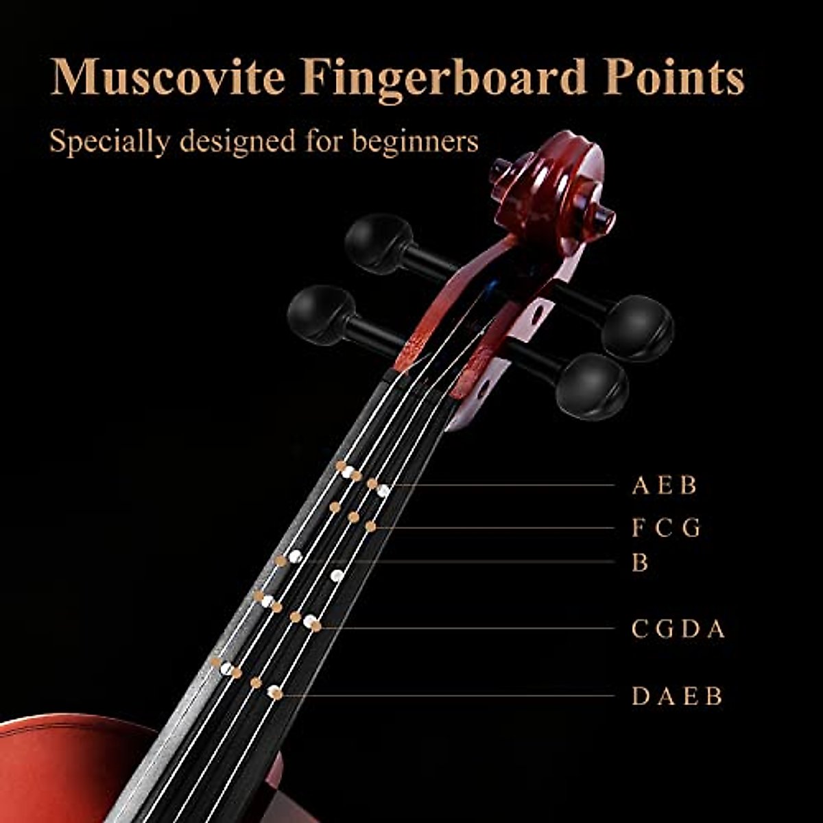 Eastar 1/4 Violin Set for Beginners, Fiddle Quarter Size with Hard Case, Rosin, Shoulder Rest, Bow, and Extra Strings (Imprinted Finger Guide on Fingerboard)， EVA-2