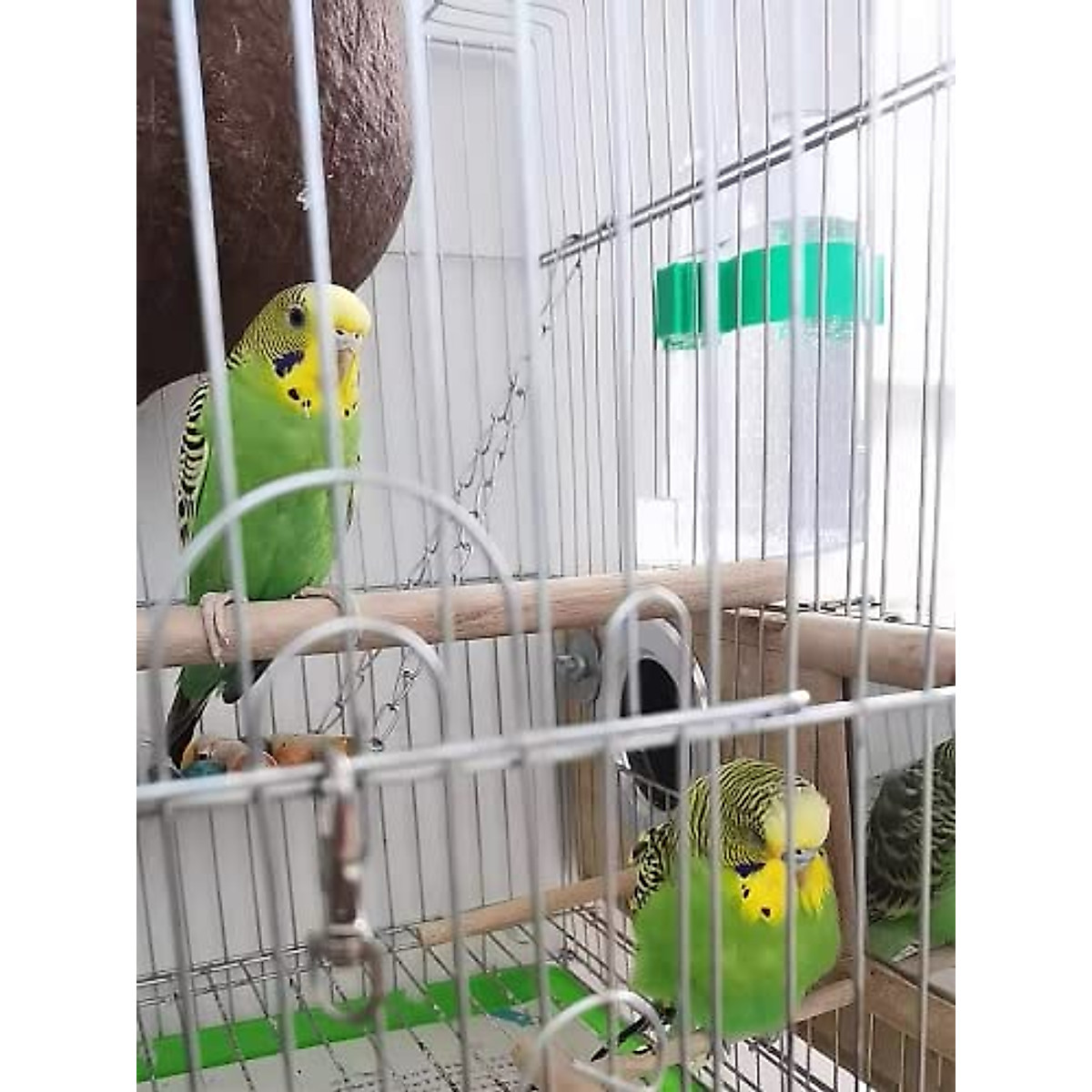 Clpoawc Bird Water Dispenser Outdoor No Mess Automatic Feeder,Parakeet Waterer for Cage,Food Container Bird Cage Accessories Hanging Outside for Lovebird Canary Finch Small Birds (2Pcs), Clear