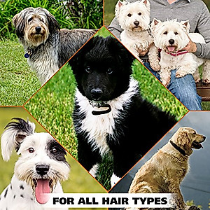 Wahl Deodorizing & Refreshing Pet Deodorant for Dogs - Eucalyptus & Spearmint Scent to Refresh the Skin and Coat - Model 820011A