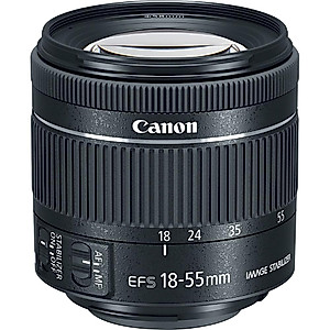 Canon EF-S 18-55mm f/4-5.6 is STM Lens (1620C002) + Filter Kit + Lens Pouch + Cap Keeper + Cleaning Kit + More (Renewed)