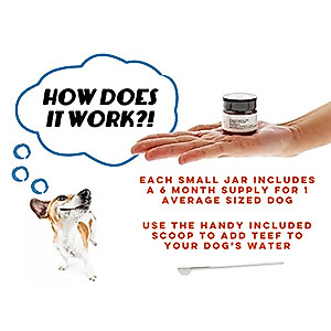 TEEF! Daily Dental Care - Natural Dog Dental Water Additive, 6 Month Supply - Award Winning Protektin42 Formula, Tartar and Plaque Remover - No Brushing, Add to Water Bowl for Healthier Gums
