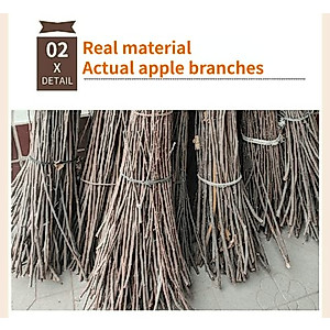 Barn Eleven 100g/0.22lb Natural Apple Sticks, Treats Food for Small Animals, Chew Toys for Chinchilla Guinea Pigs Rabbit Squirrel Hamster Bunny (100g/0.22lb)