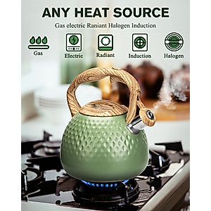 Hauce Radio Tea Kettle Stovetops, 2.5 Quart Food Grade Stainless Steel Water kettles for Stove Top Teatop with Anti-hot Ergonomic Handle,Suitable for All Heat Sources