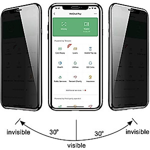 Privacy Magnetic Case for iPhone 11, Anti Peep Magnetic Adsorption Privacy Screen Protector Double Sided Tempered Glass Metal Bumper Frame Anti-Peeping Phone Case Anti-Spy Cover for iPhone 11