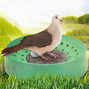 Weiyirot Bird Breeding Bed, 5 Pcs Plastic Bird Nesting Bowl Egg Basin with Mat, Cage Accessory Supplies, Breathable, Washable, Easy to Dry