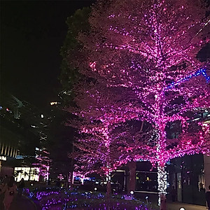 Solar String Lights AcaJoe Christmas Fairy Lights 1 Pack 33 Ft 100 LED 8 Modes Twinkle Lighting Outdoor Waterproof Solar Powered Tree Lights for Halloween Party Garden Decor