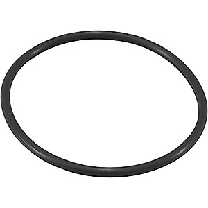 Zodiac R0694100 Jandy Pro Series TruClear Chlorinator O-Ring