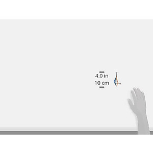 Rapala Rattlin' Rapala 07 Fishing lure, 2.75-Inch, Blue Shad