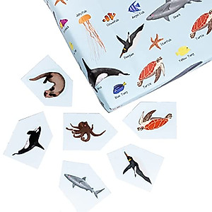 CENTRAL 23 - Wrapping Paper for Boys - 6 Sheets of Gift Wrap for Girls - Ocean Animals - Whale Dolphin Turtle Shark - Cute Blue Birthday Gift Wrap for Kids - Made in the UK