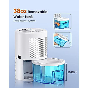 Dehumidifiers - 34oz(1000ml) Small Dehumidifiers for Home Bedroom Bathroom Basement Closet RV, 2200 Cubic Feet (220 Sq ft) Auto-off Portable and Compact Ultra Quiet Mini Electric Dehumidifier