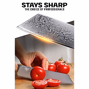 Dalstrong Kiritsuke Chef Knife - 8.5 inch - Shogun Series Elite - Damascus - Japanese AUS-10V Super Steel Kitchen Knife - Premium Black G10 Handle - Razor Sharp Knife - Chef's Knife - w/Sheath