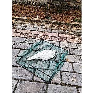 DSQSTMR Pigeon Bird Trap Trapping Hunting Quail Cage Sparrow Spring Starling Catching Net Traps for Trapping
