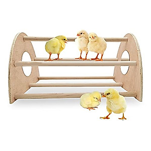 Hamiledyi Chick Perch, Chicken Wooden Strong Roosting Bar with Mirror, Training Sleeping Perch Standing for Coop and Brooder, Solid Ladder for Chick Hens Silkies Quail Chicken