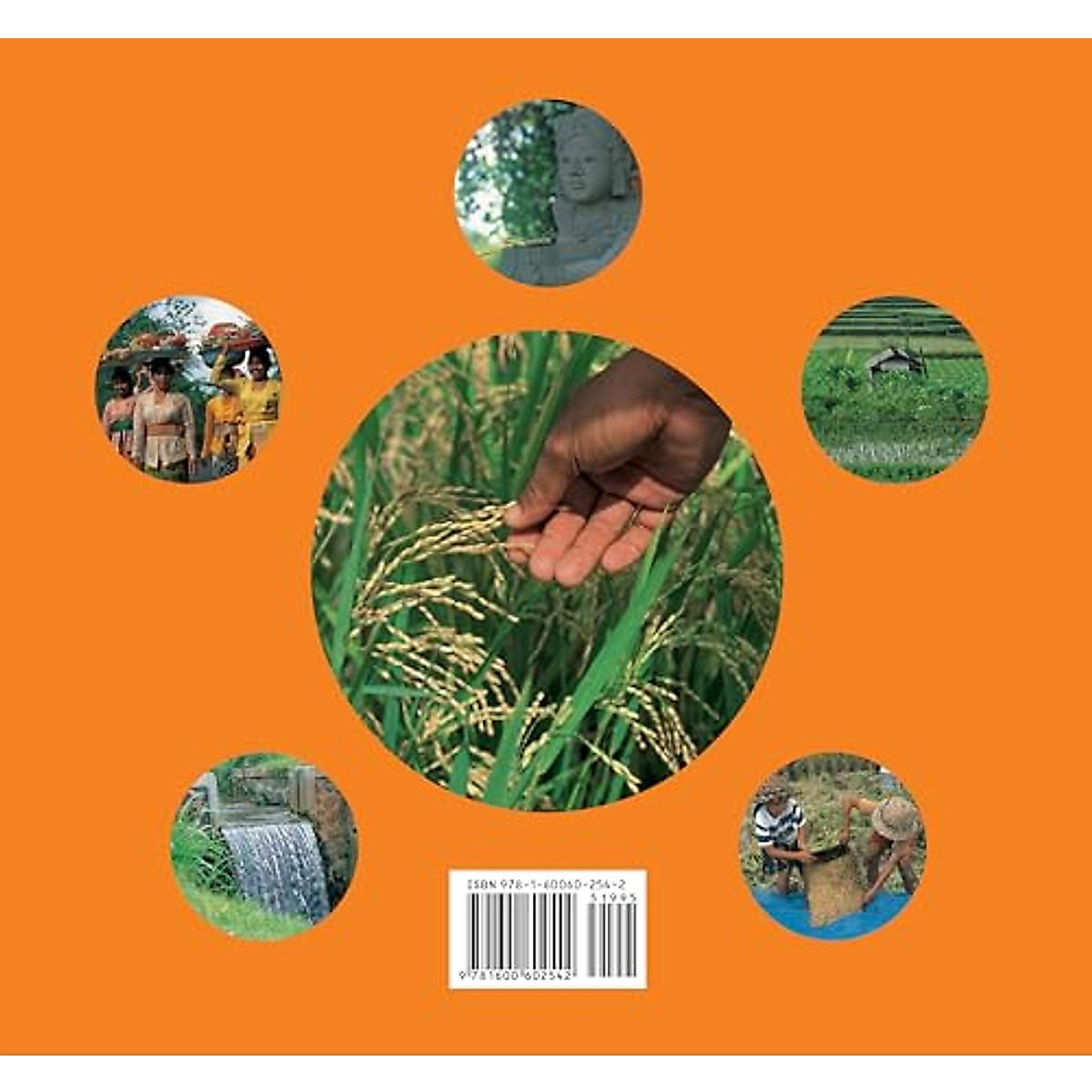 Cycle of Rice, Cycle of Life: A Story of Sustainable Farming