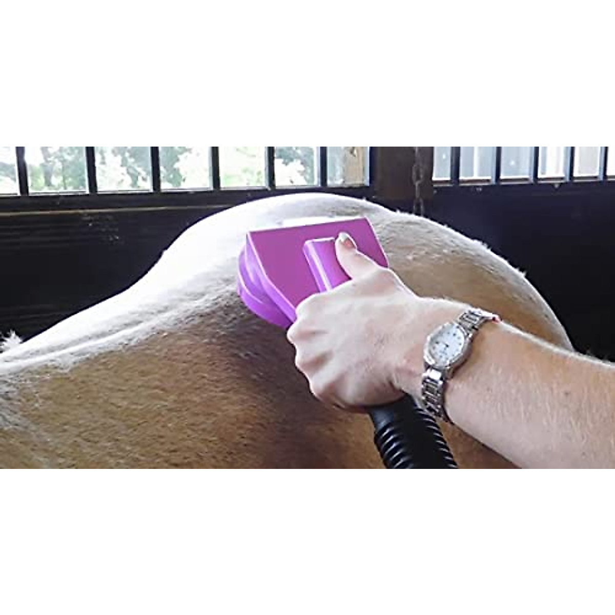 CurryVac Vacuum Powered Horse Curry Removes Hair Dirt and Dander, Massages Coat, Use Like a Soft Brush