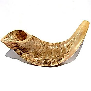 Shofar Ram's Horn Shofar Mini 25-28cm Natural White
