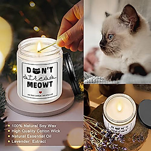 Don't Stress Meowt Cat Lover Gifts for Women Cat Mom Birthday Gifts for Women Cute Gifts for Cat Lovers Cat Themed Gifts Crazy Cat Lady Gifts for Women Her Best Friends Cat Dad Pet Parents Gift Candle