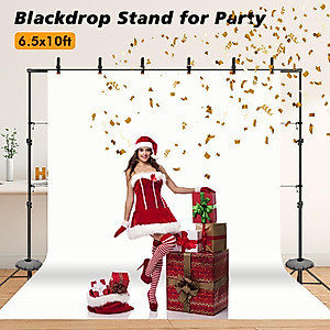 Backdrop Stand, Photo Video Studio 6.5 x10ft Adjustable Support Portable Backdrop Stand Heavy Duty for Photoshoot, Parties, Projector Screen with 2 Water Bag, 6 Backdrop Clips,6 Curtain Ring Clip