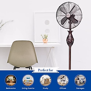 DecoBREEZE DBF0611 Pedestal Standing Floor Fan, 16-Inch, Fleur De Lis