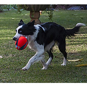 Chuckit! Fumble Fetch Dog Toy, Outdoor and Indoor Dog Toy Small