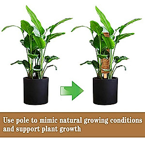 Moss Poles for Climbing Plants, 2 Pcs 12'' Coir Pole (Total 20'') with 4 Pcs Adjustable Plant Ties for Creepers Plant Support Extension, Climbing Plants Support Indoor