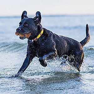 KXK Durable Dog Chew Toys for Aggressive Chewers Large Medium Small Breed, Tough Dog Toys for Large Medium Small Dog and Puppies Teeth Cleaning, Pet Toy with Durable Nylon