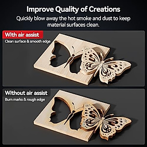 Woxcker Air Assist 30L/min Adjustable Air Assist Pump Kit for Cutting and Engravers, Removes Smoke and Dust/Reduces Surface Temperature/Protects Module, Suitable for Most Engravers