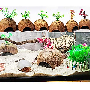 Hermit Crab Shells Natural Coconut Shell Hut Artificial Plants 19 PCS Decoration Supplies House Tank