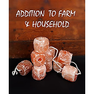 Himalaid Himalayan Salt Lick on Rope for Horses, Cattles, and Other Livestock, 2.5 LBS Each (9 Pack)