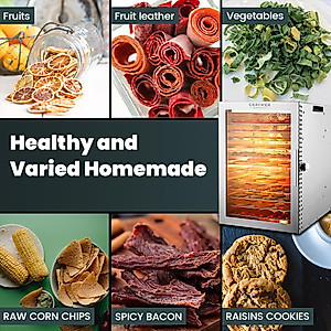 Food-Dehydrator Machine 12 Stainless Steel Trays, 800W Dehydrator for Herbs, 10.9ft² Meat Dehydrator for Jerky,190ºF Temperature Control,24H Timer,Powerful Drying Capacity for Fruits,Yogurt