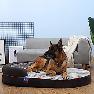 Laifug Memory Foam Oval Dog Bed (54x36x9Inch, Brown), Orthopedic Dog Bed for X-Large Dogs with Durable Waterproof Liner & Removable Washable Cover & Nonskid Bottom