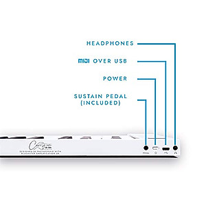 Carry-On, 49-Key Portable Keyboard (FOLDPIANO49)