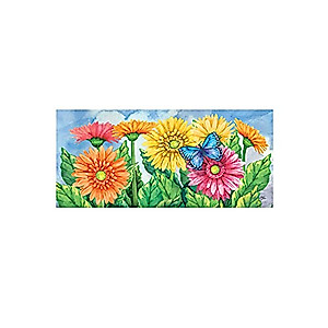 Evergreen Sassafras Gerbera Daisies Interchangeable Entrance Doormat | Indoor and Outdoor | 22-inches x 10-inches | Non-Slip Backing | All-Season | Low Profile | Home Décor