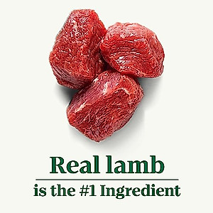 NUTRO NATURAL CHOICE Small Bites Adult Dry Dog Food, Lamb & Brown Rice Recipe Dog Kibble, 5 lb. Bag(Pack of 1)