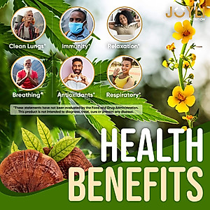 JOYLI Hemp Gummies - Natural Lung Cleanse with Mullein Leaf & Reishi Mushroom - Extra Strength Clean Lung Support Supplement with Vitamins A, C, D & E - Sugar-Free, Vegan, Non-GMO - 60 Edibles