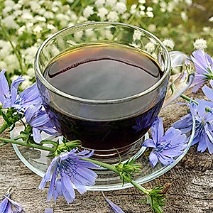 Outsidepride Perennial Chicory Drought Tolerant Wild Flower & Forage Plants - 5000 Seeds