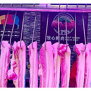 20Pcs Meat Hooks 6 Inches,Alele Stainless Steel Lightweight Hook for Meat Processing Hanging Smoking (Meat Hooks 20 Pack 6 inch 3mm)