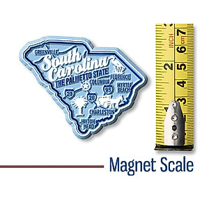 South Carolina Premium State Magnet by Classic Magnets, 2.9" x 2.3", Collectible Souvenirs Made in The USA