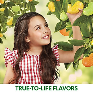 Jelly Belly Sunkist Lime Jelly Beans - 1 Pound (16 Ounces) Resealable Bag - Genuine, Official, Straight from the Source