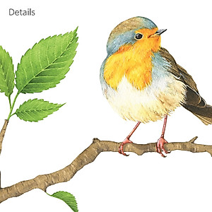 DECOWALL DWL-1804N Garden Birds on Tree Branch Kids Wall Stickers Wall Decals Peel and Stick Removable Wall Stickers for Kids Nursery Bedroom Living Room décor