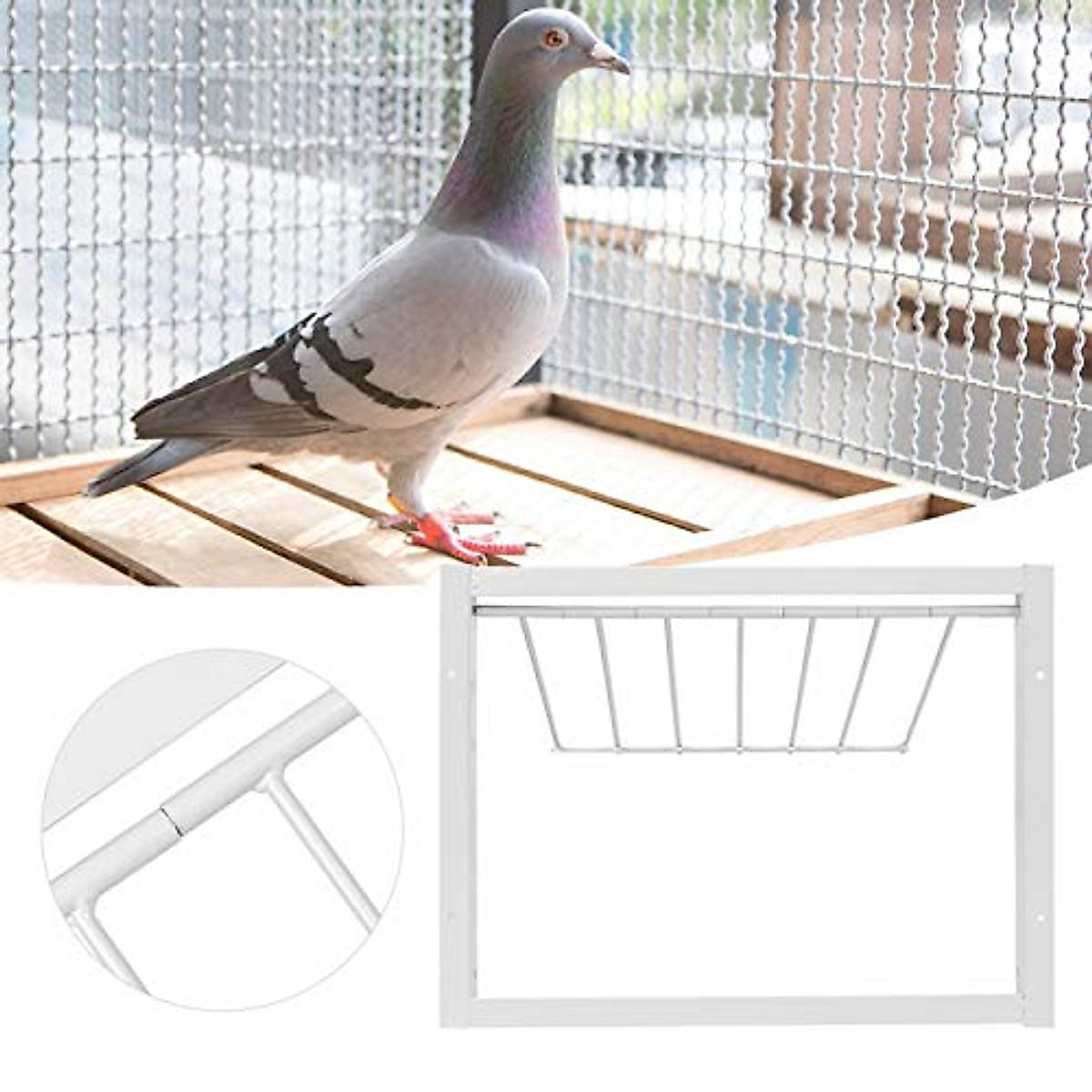 Birdcages T Trap, Pigeon Door Wire Bars Frame Entrance T Trap for Pigeon Birds House Door(30 * 26cm)