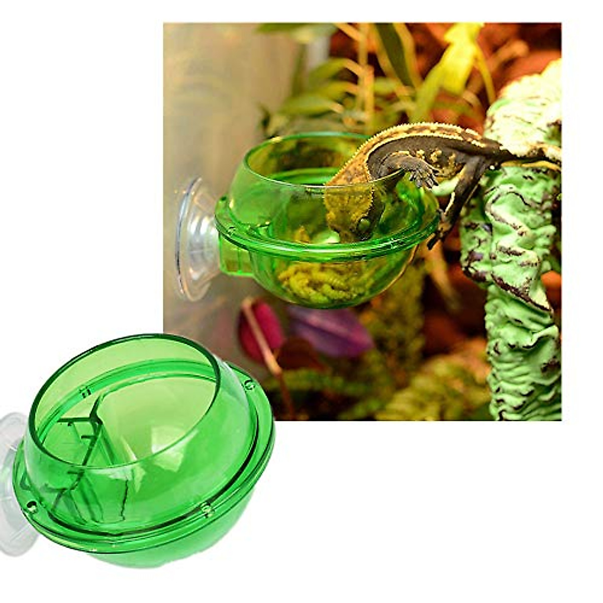 NA Reptile Food Bowl Anti-Escape Chameleon Bowl Cup Reptile Feeder Translucent Home Pet Feeder Supplies Accessories for Tortoise Gecko Snakes Chameleon Iguana
